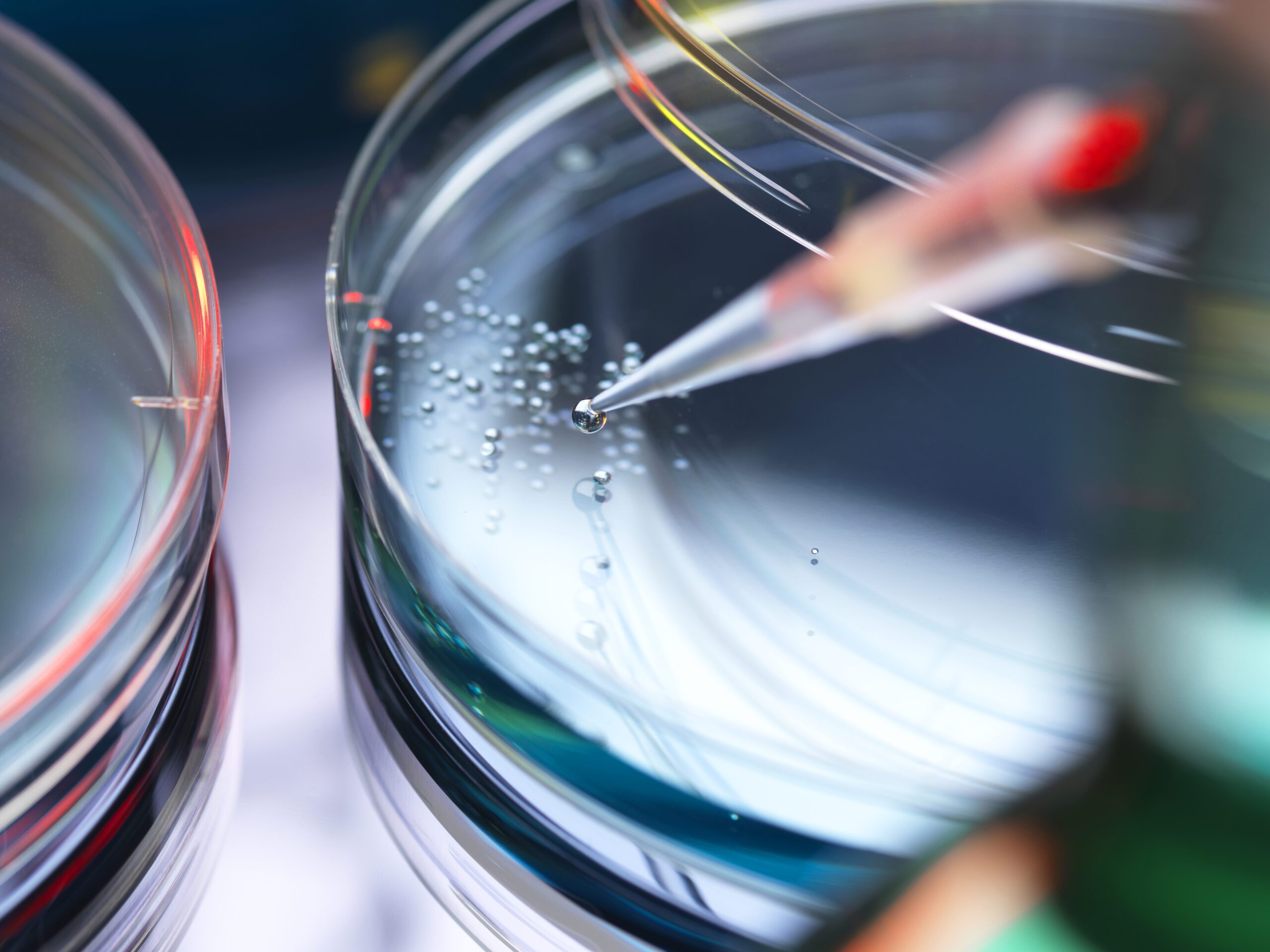 Pharmaceuticals and Life Sciences - Osler, Hoskin & Harcourt LLP