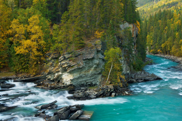 Sealing the sacred: court protects Indigenous cultural information ...